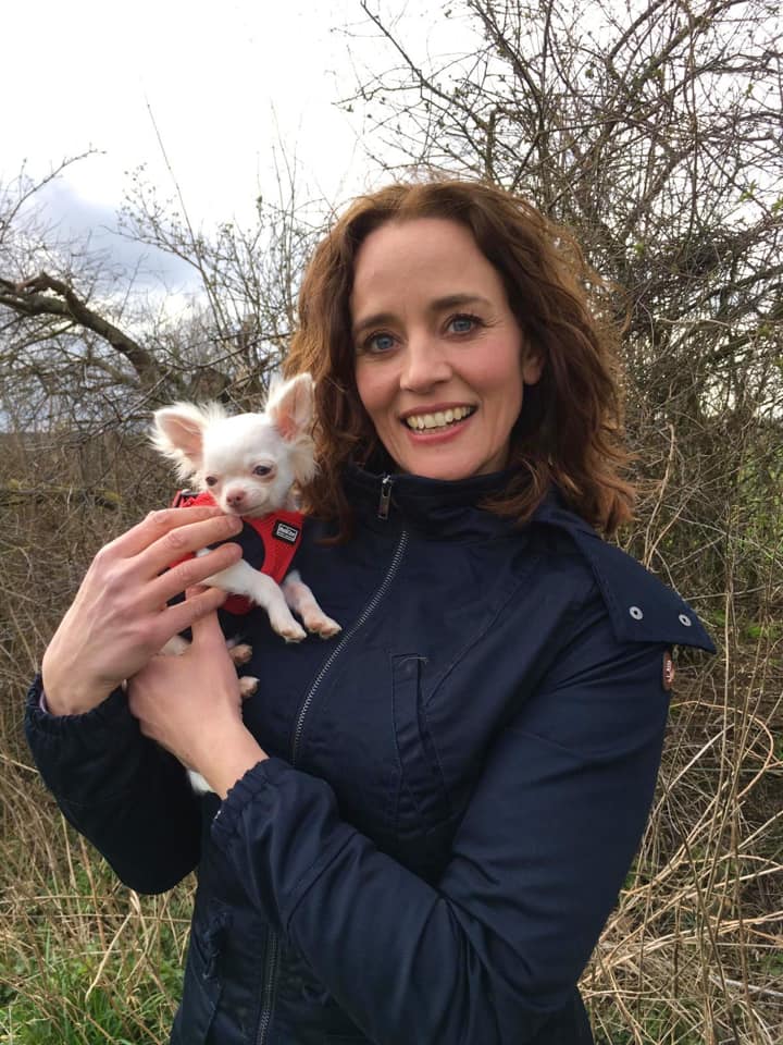 Kate Kitchenham & docmaTV zu Besuch für SAT1Gold – educanis | Hundetraining